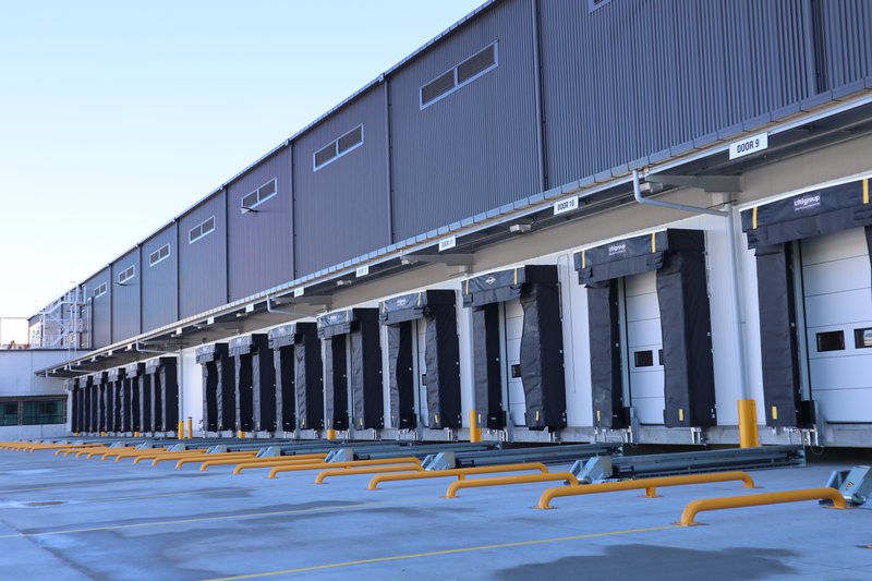 Meet Andrew Suckling - Teulo